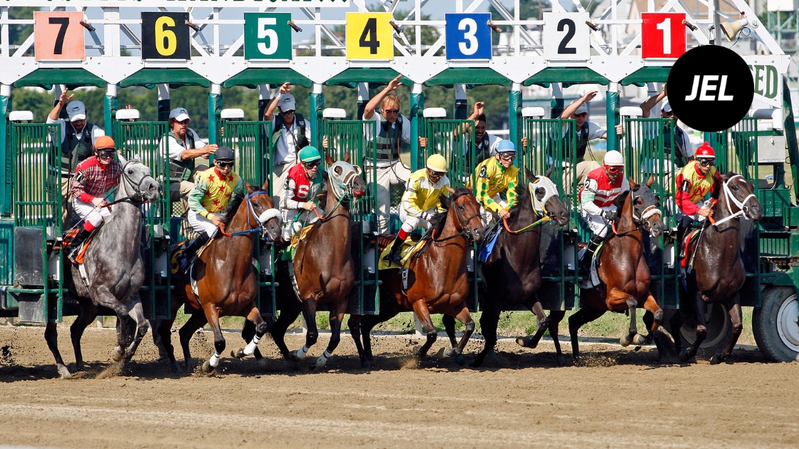 Carreras de Caballos Reglas, Guía de Introducción a la Hípica